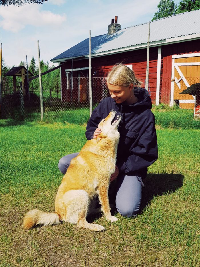 #588 – Pystykorva ja hermeliini – Jaakko Hyvönen